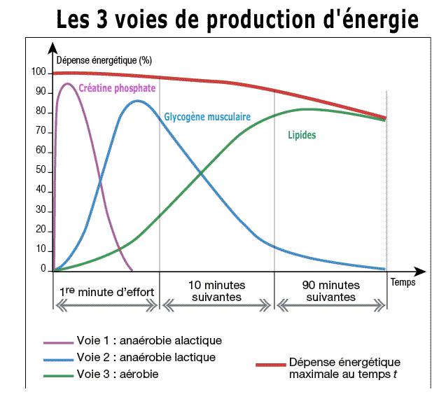 L’ATP au cœur d’un WOD réussi ! - WodNews