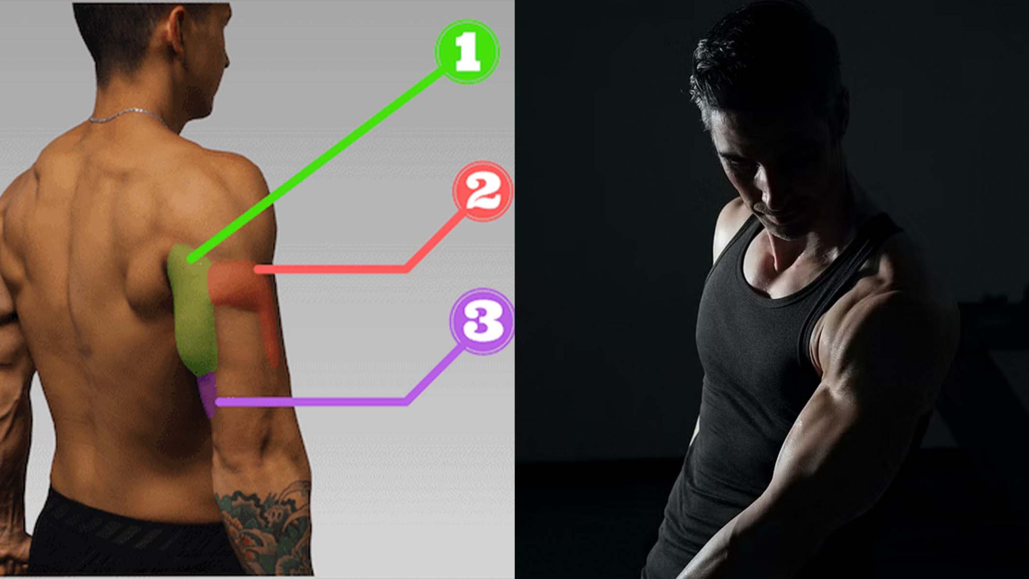 7 exercices au poids du corps pour les triceps ! - WodNews